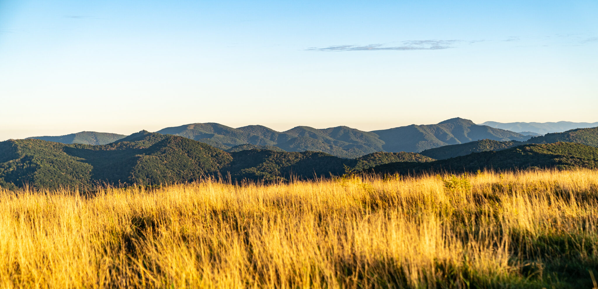 About Us – The Cabins at Sandy Mush Bald