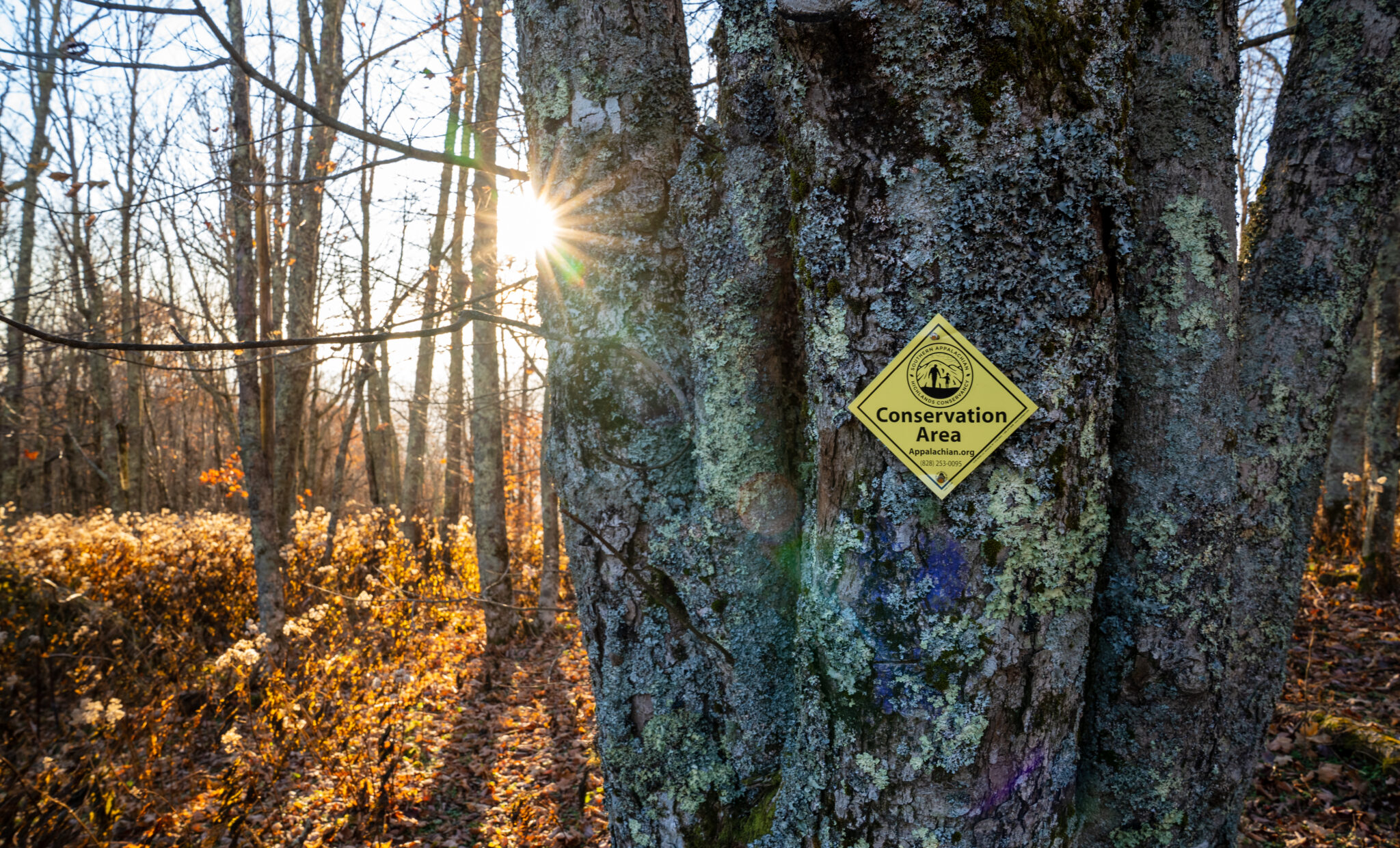 Photo Gallery – The Cabins at Sandy Mush Bald